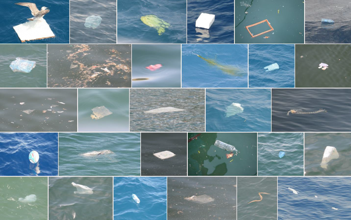 COMMON project methodologies capitalized in "Floating Marine Macro ...